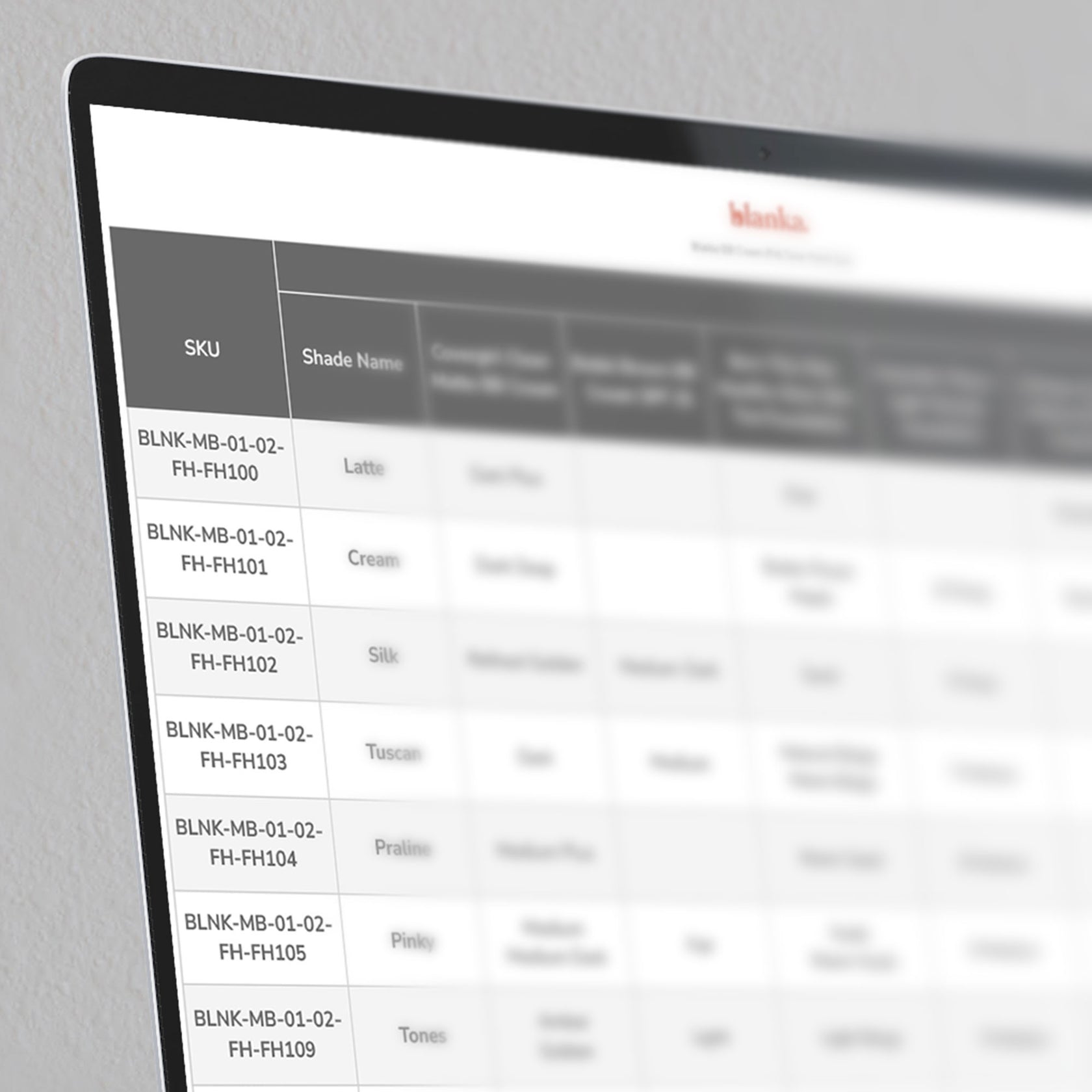 Color Match Quiz – Blanka Beauty